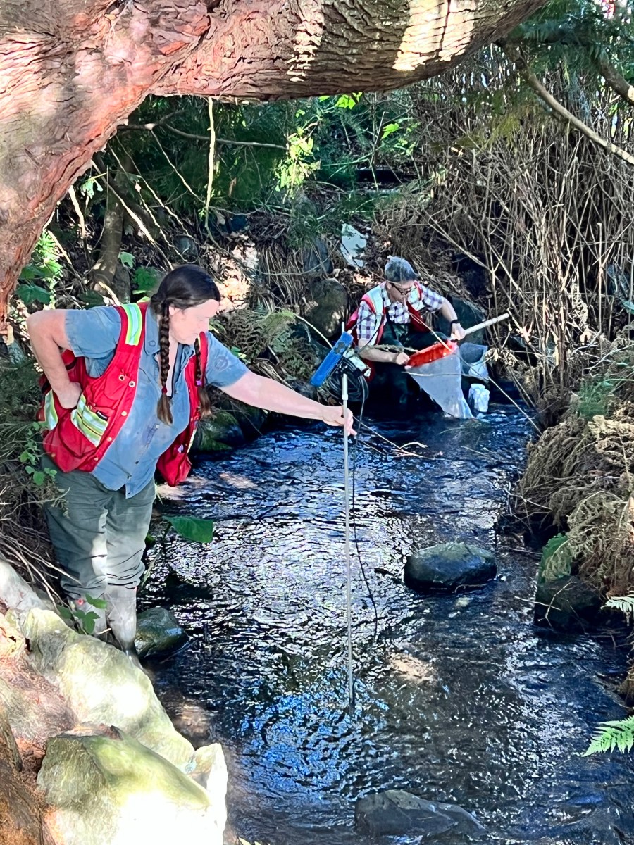CRD water quality research visit – September 4th, 2024 – Bee Creek ...